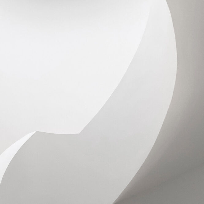 What do we perceive as aesthetic and why? | Aesence®