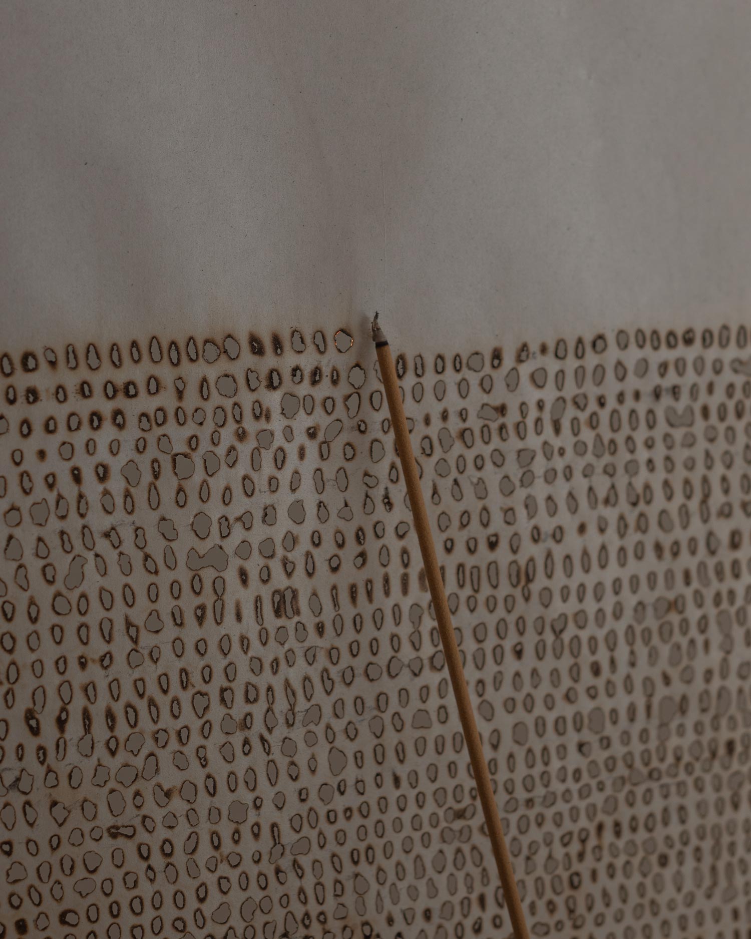 In Conversation with Artist Cindy Leong | Aesence®